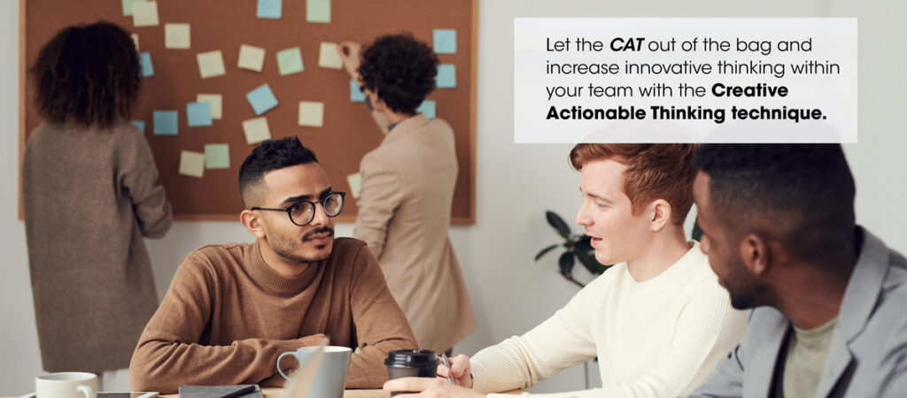 Unleash the Purr-fection: Harness the Power of CAT (Creative Actionable ...